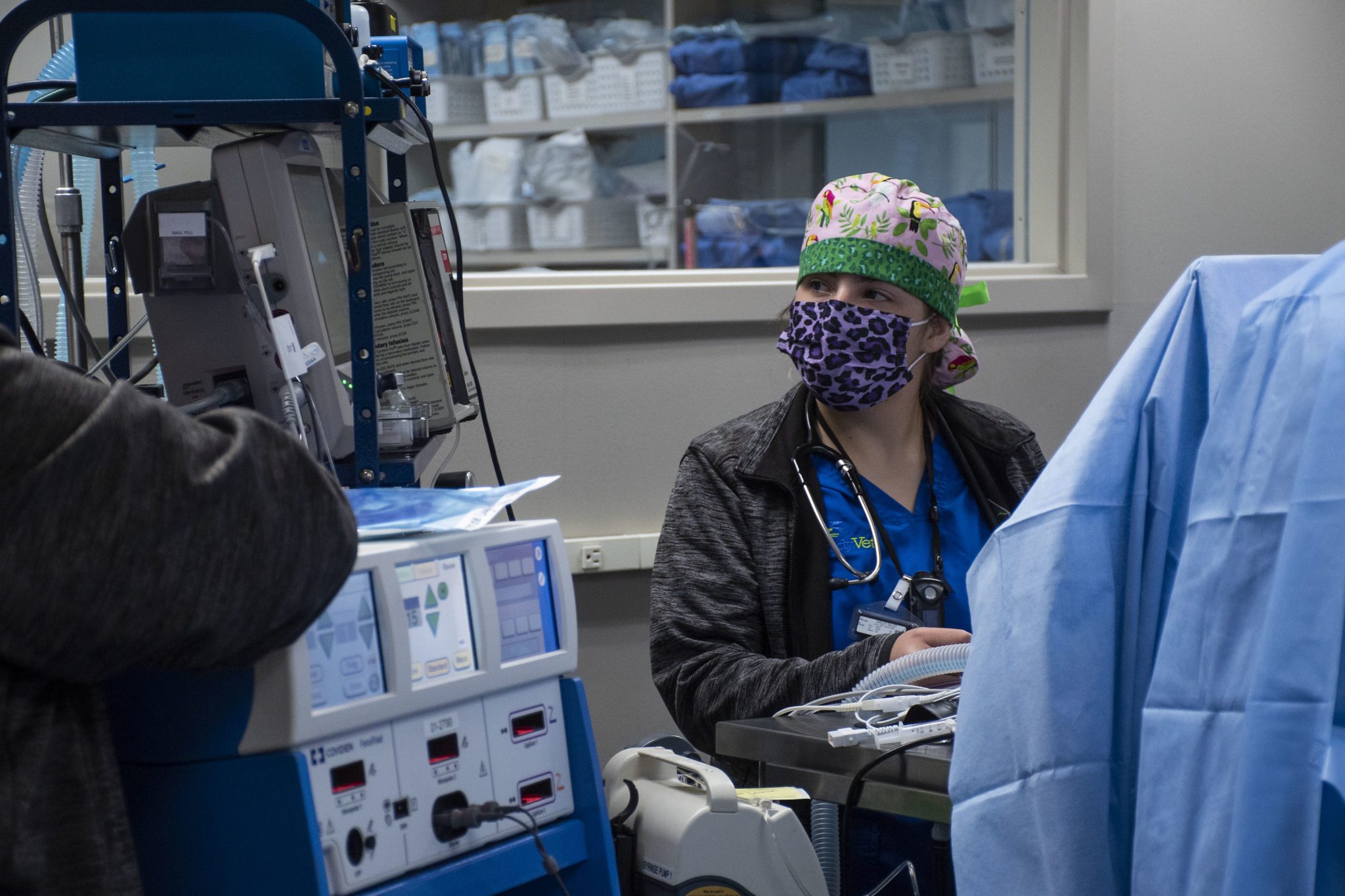 VT Rework Page - IndyVet