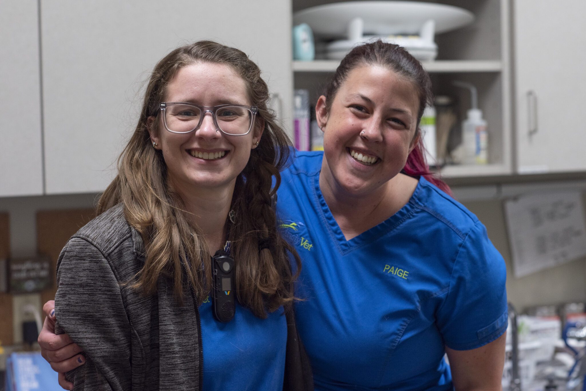 Emergency Veterinary Hospital -IndyVet - 24 Hr Emergency Animal Clinic