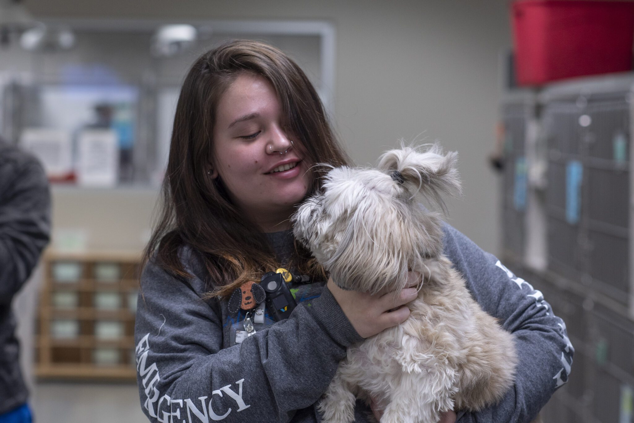 Careers - IndyVet - Join Our Amazing Team Today!